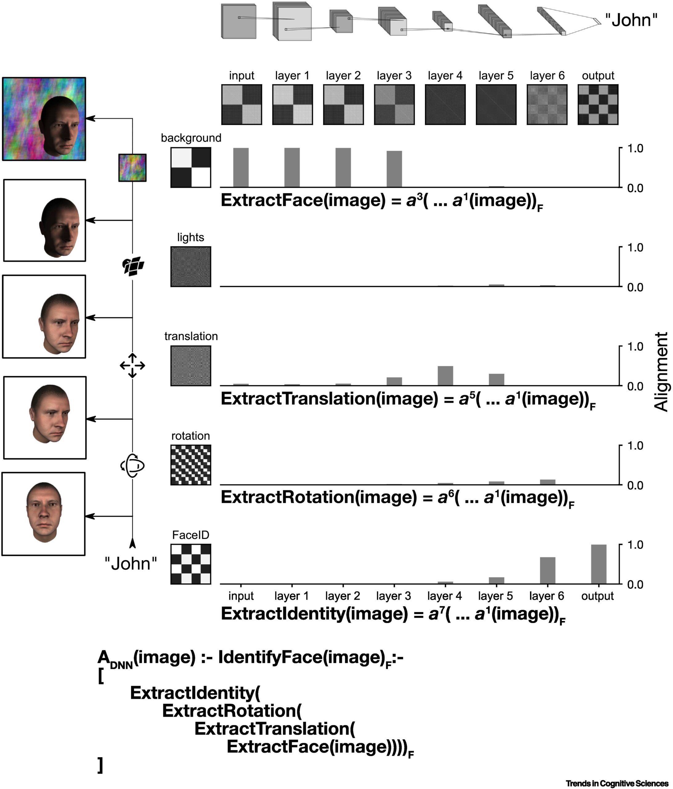 Researchers find out if AI models and the human brain think alike ...
